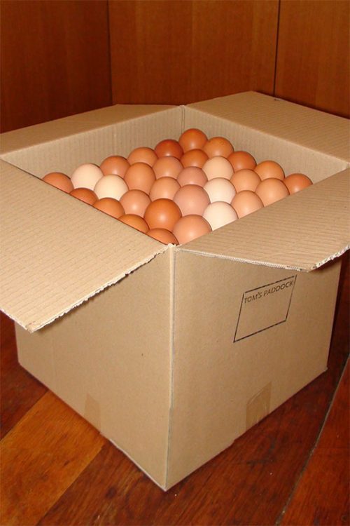 Box of Eggs | Tom's Paddock